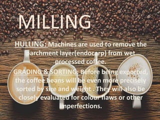 Coffee presentation ppt | PPTX