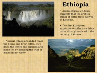Coffee Brewing History | PPTX