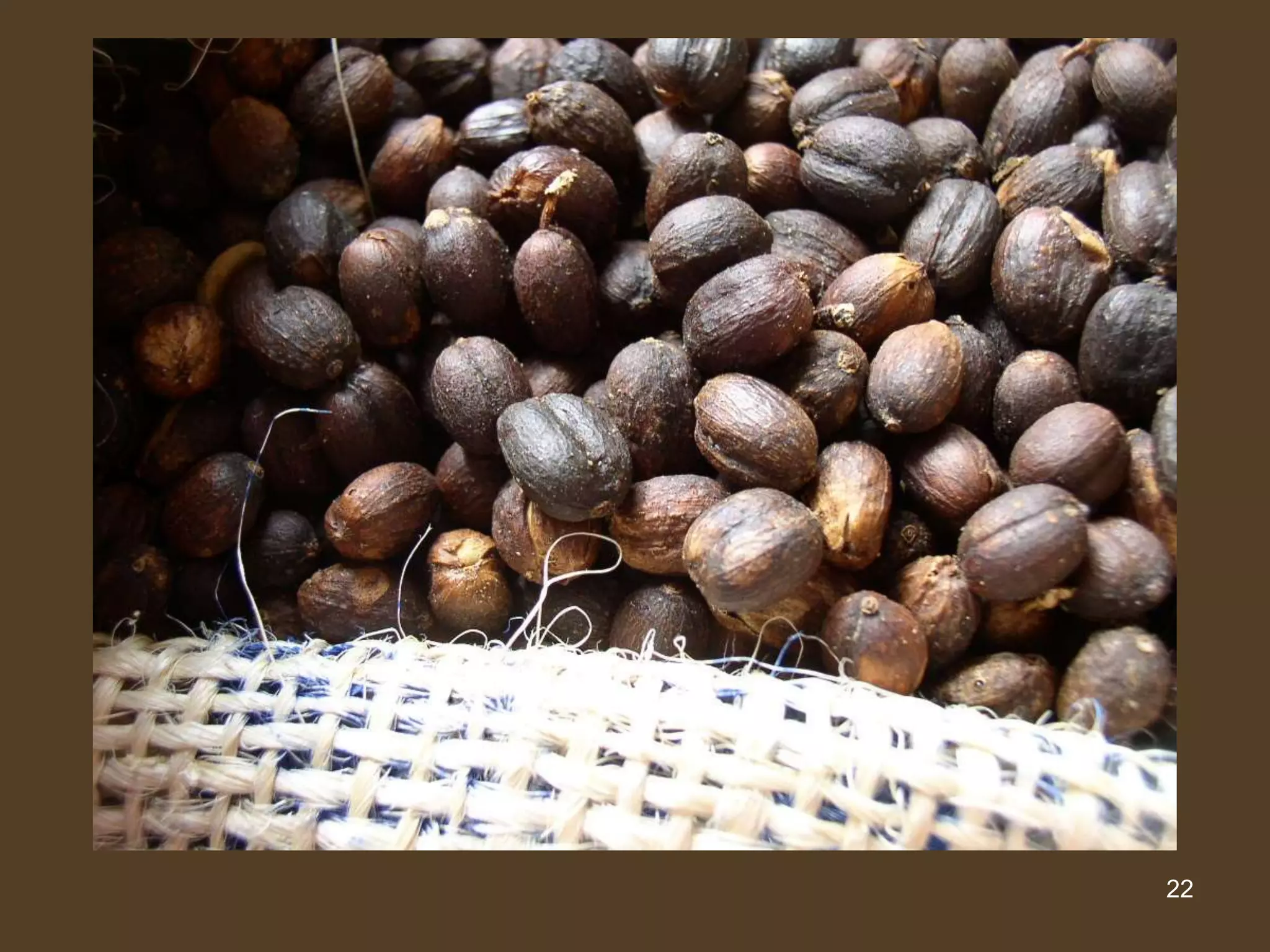 Coffee-Cultivation & Processing.pptx