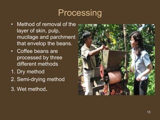 Coffee-Cultivation & Processing.pptx