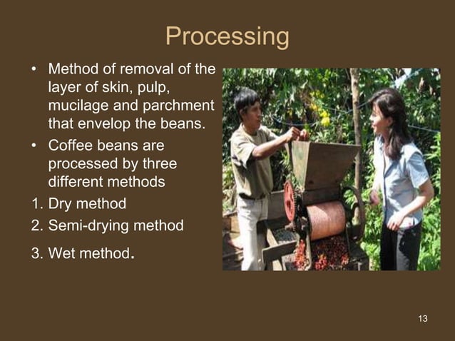 Coffee-Cultivation & Processing.pptx | Gardening | Home & Garden