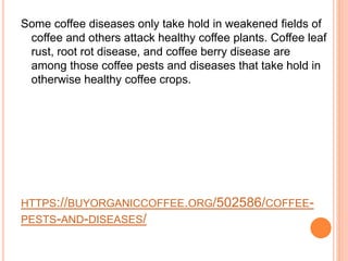 Coffee pests-and-diseases | PPTX