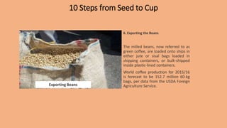 Coffee- The Beautiful Journey from Seed to Cup.pptx