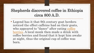 Coffee 101.pdf