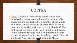 Coffee 101.pdf