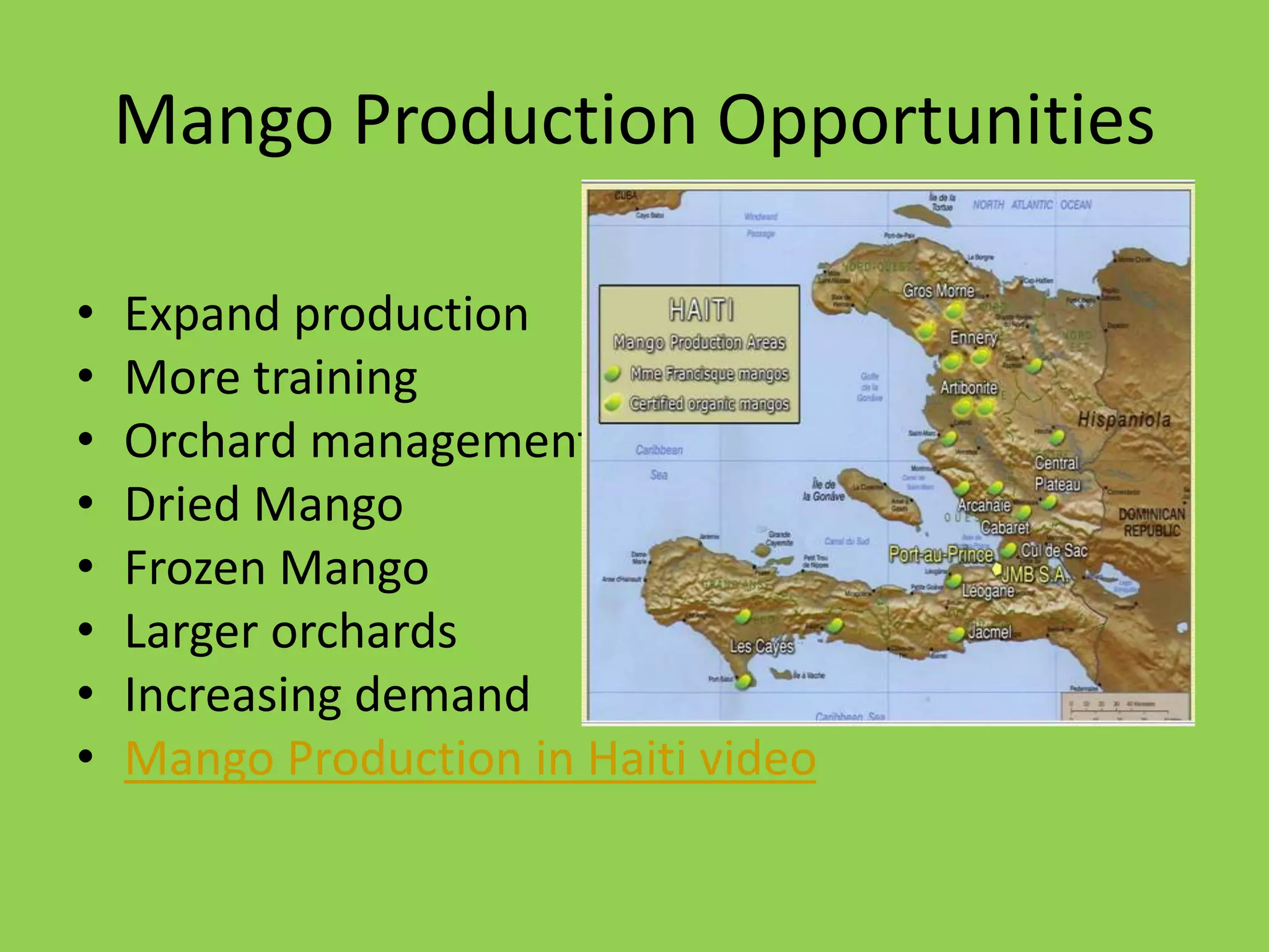 Overview: Coffee and Mango Production in Haiti | PPTX | Agriculture ...