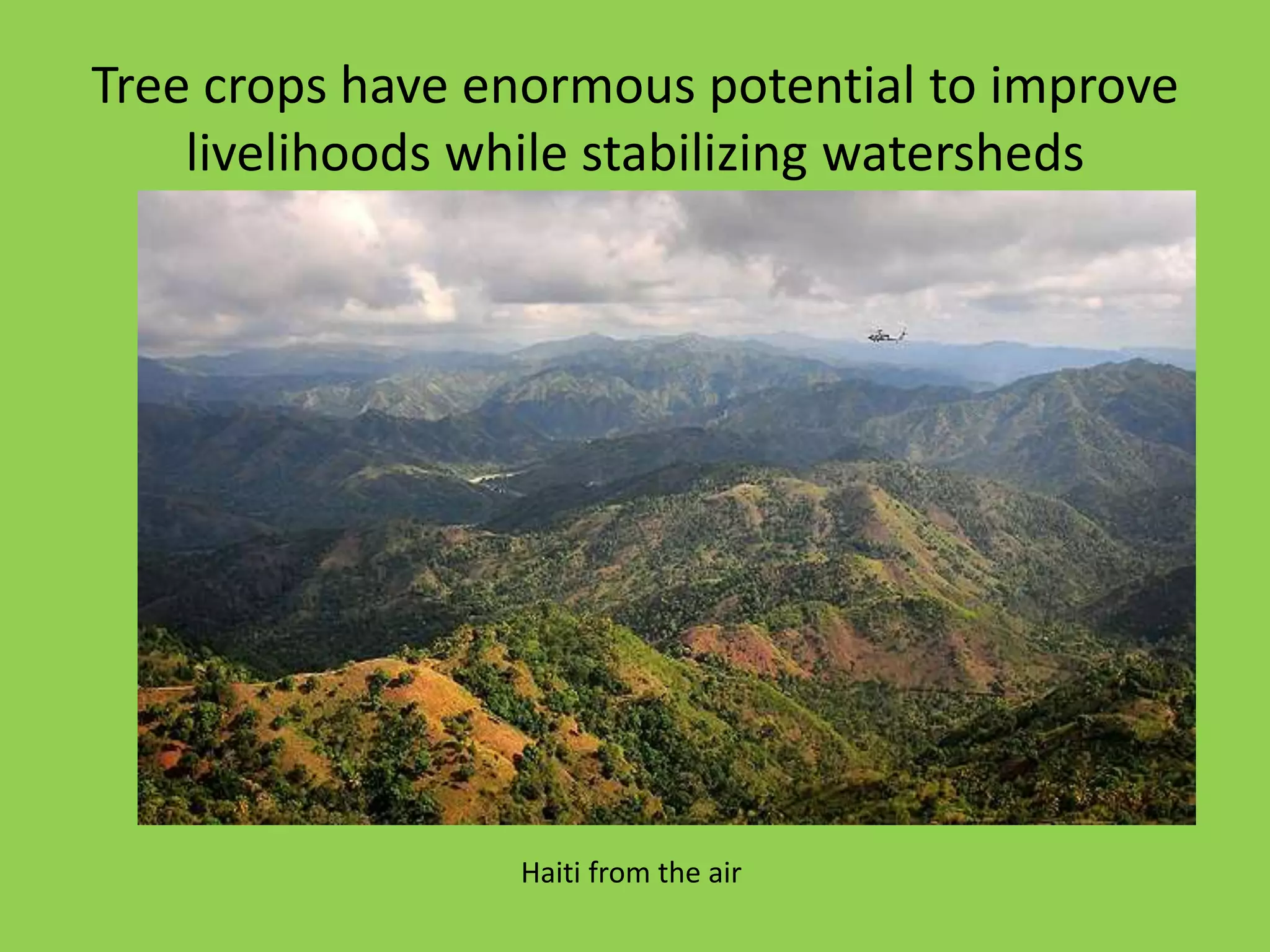 Overview: Coffee and Mango Production in Haiti | PPTX | Agriculture ...
