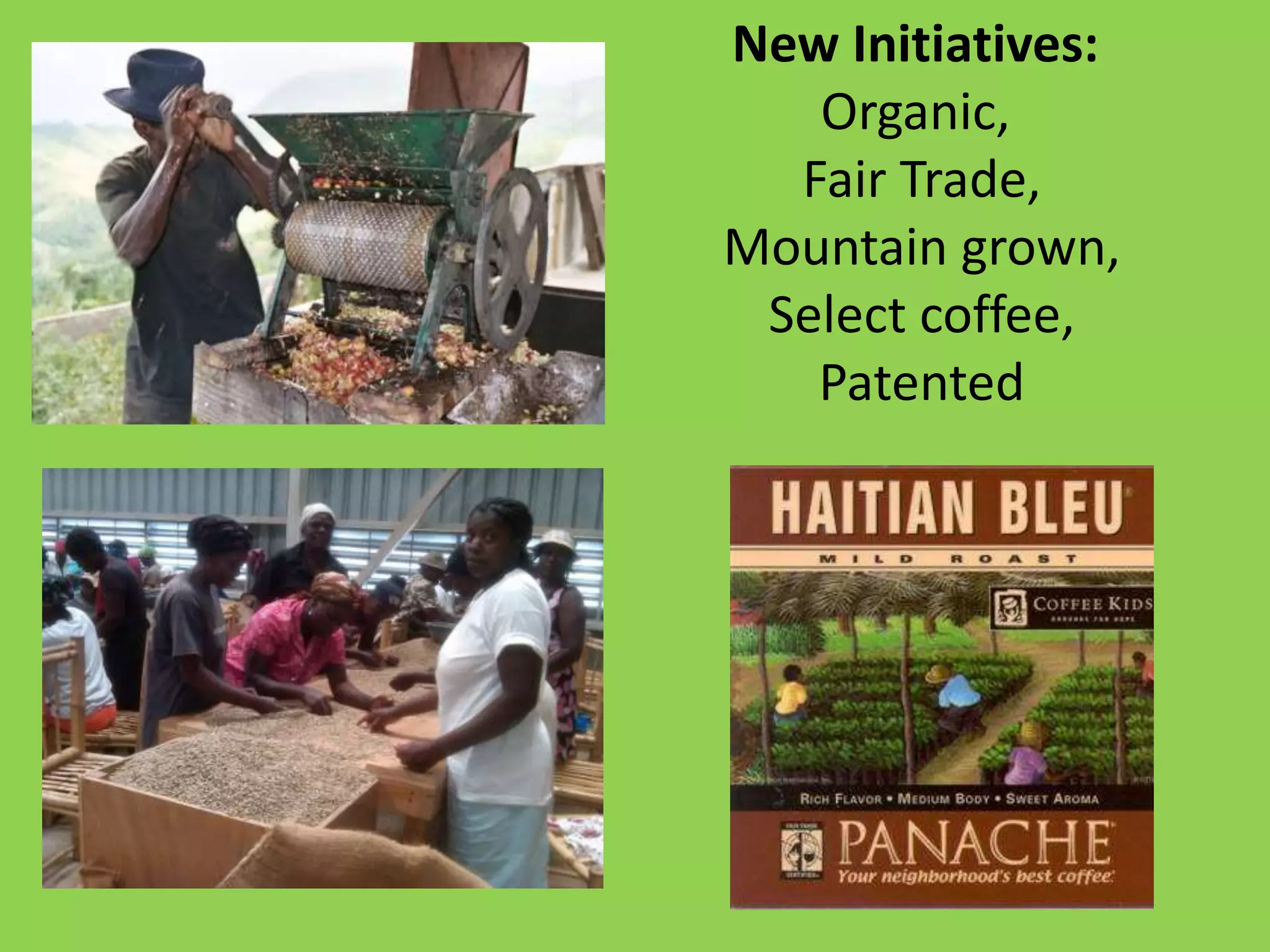 Overview: Coffee and Mango Production in Haiti | PPTX | Agriculture ...