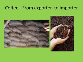 Overview: Coffee and Mango Production in Haiti | PPTX