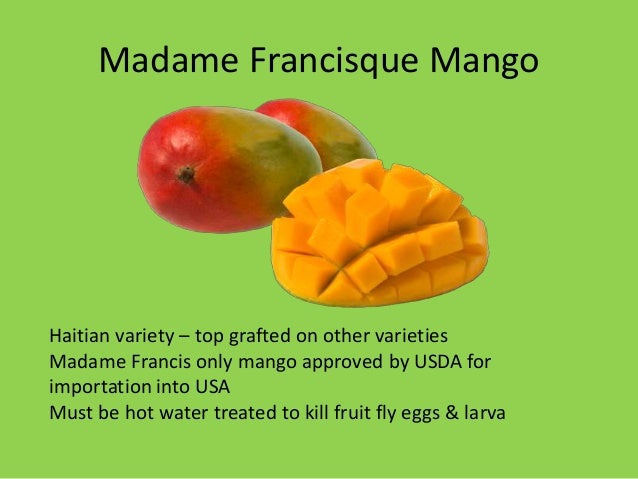 Madame Francique Mango