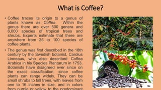 Coffee Chronicles From Beans to Bliss - Short.pptx