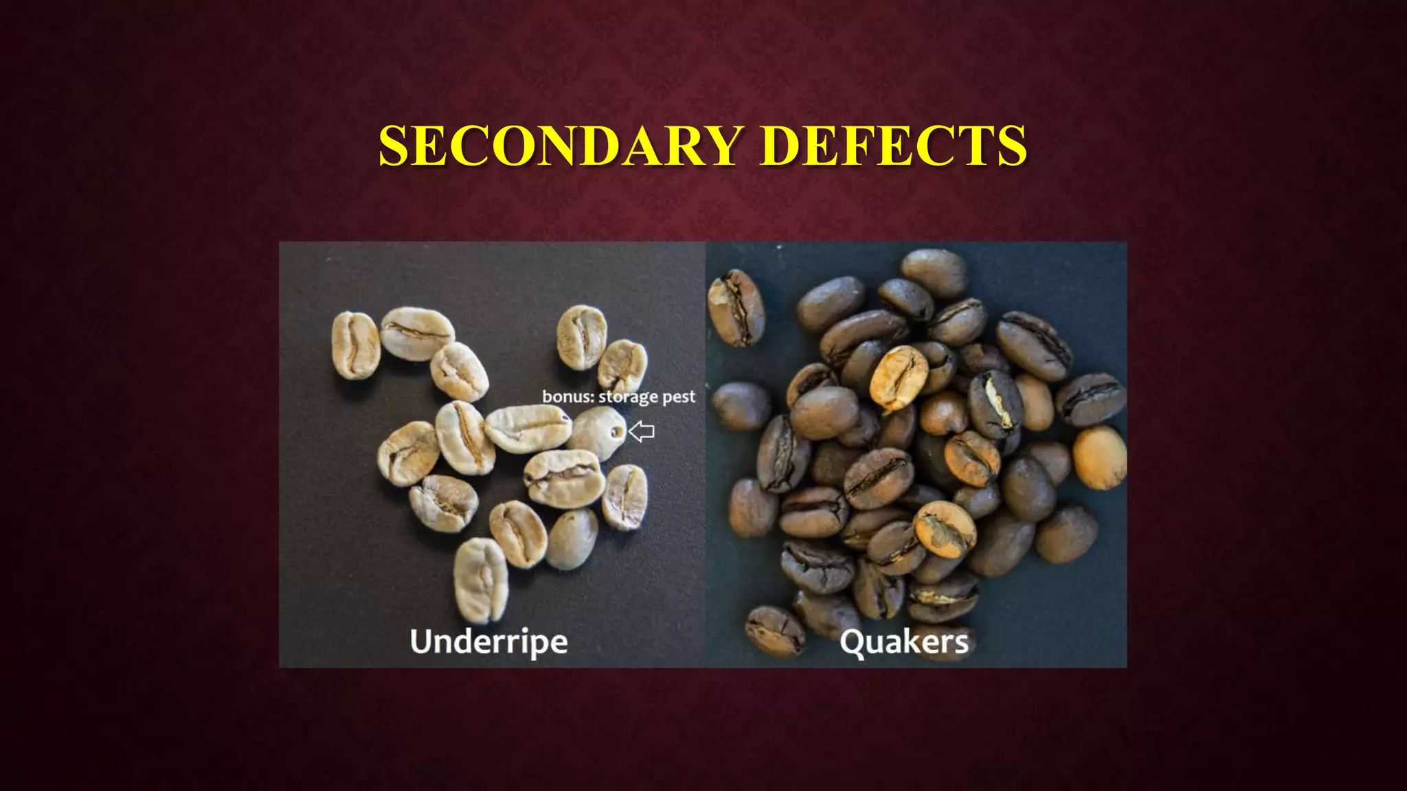 Coffee grades | PPTX