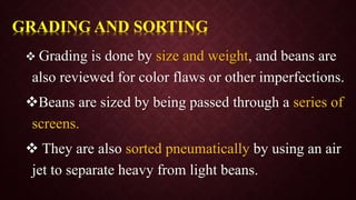 Coffee grades | PPTX