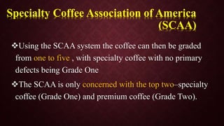 Coffee grades | PPTX
