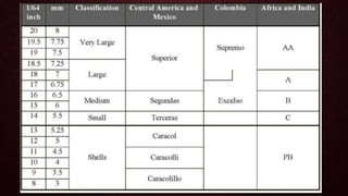 Coffee grades | PPTX
