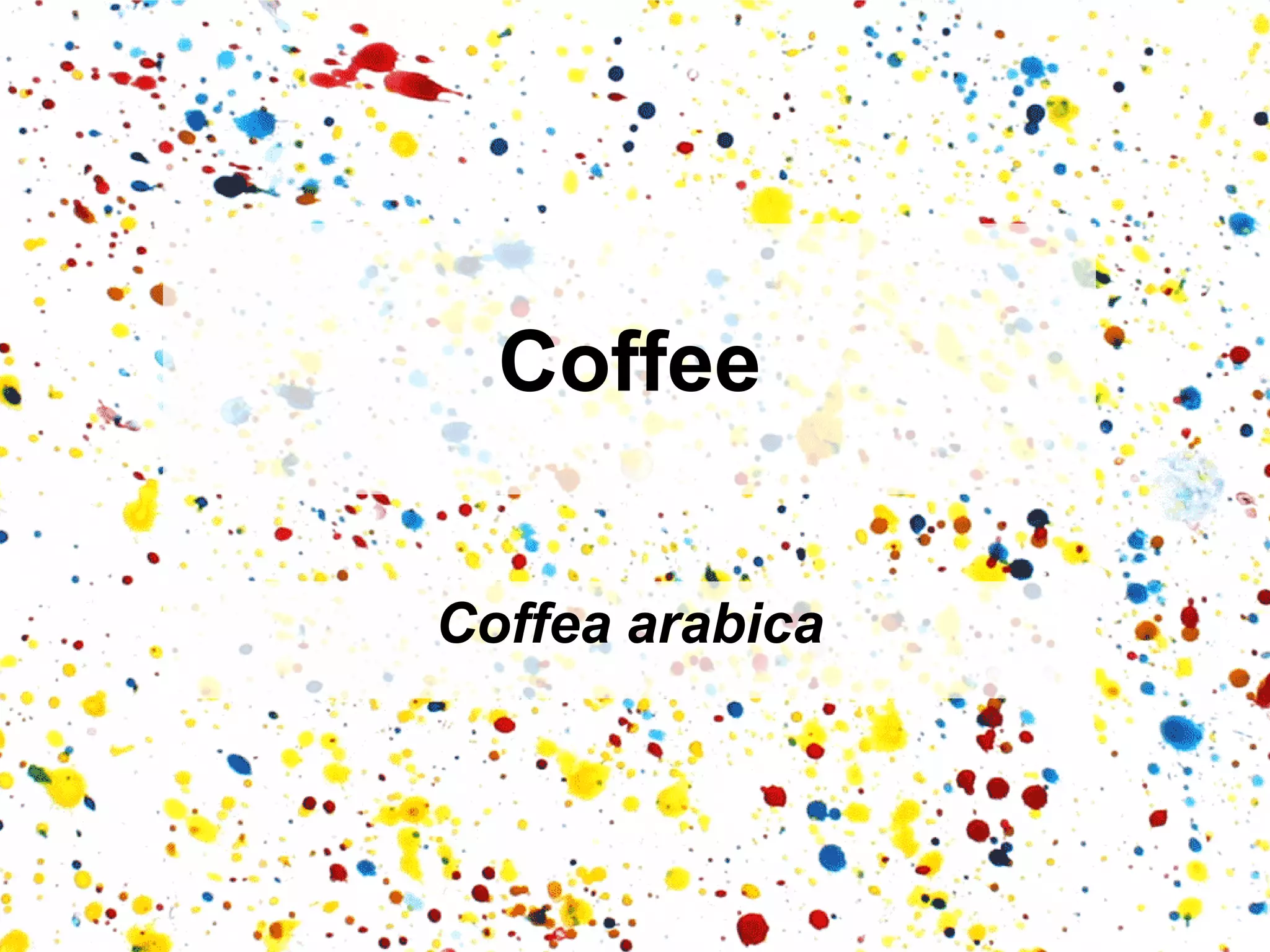 Coffee highlight | PDF
