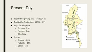 Coffee in Myanmar and How Genius Shan Highlands play the role. | PDF