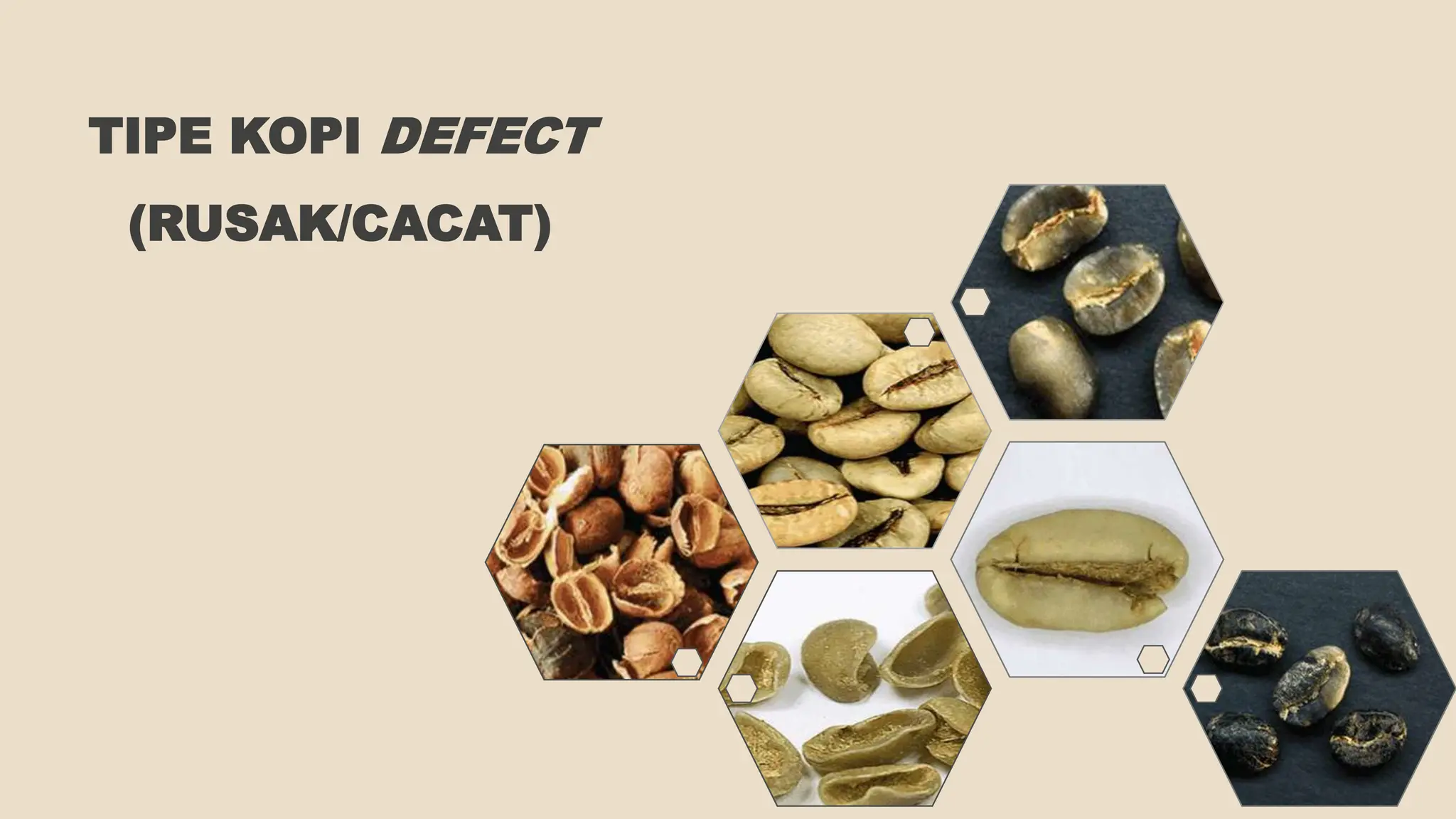 Pengantar Kopi, proses pencucian biji kopi hingga grading test | PPTX