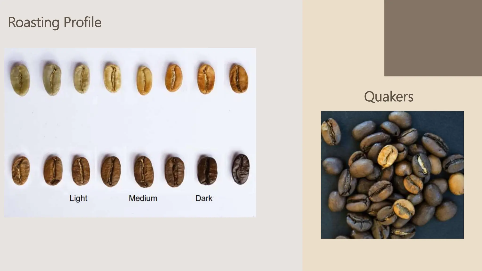 Pengantar Kopi, proses pencucian biji kopi hingga grading test | PPT