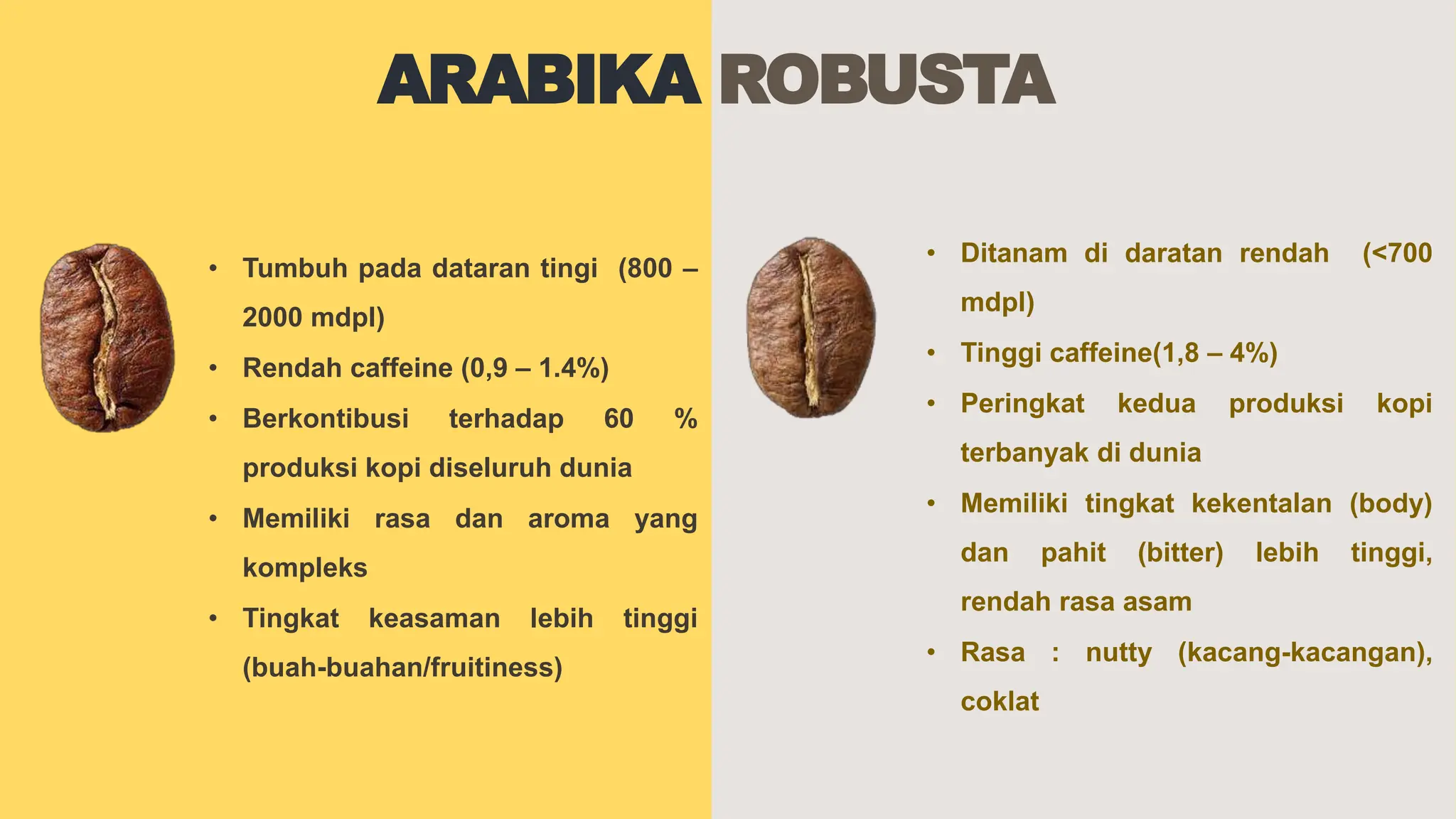Pengantar Kopi Proses Pencucian Biji Kopi Hingga Grading Test Ppt