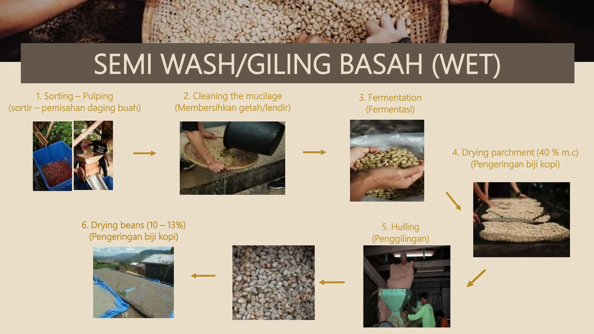 Pengantar Kopi, proses pencucian biji kopi hingga grading test | PPTX