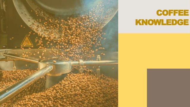 Pengantar Kopi, proses pencucian biji kopi hingga grading test | PPT