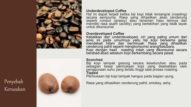 Pengantar Kopi, proses pencucian biji kopi hingga grading test | PPT
