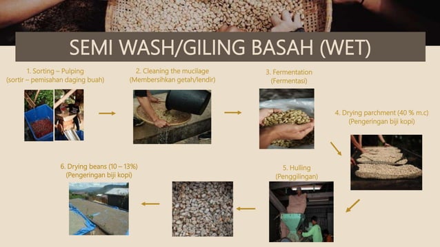 Pengantar Kopi Proses Pencucian Biji Kopi Hingga Grading Test Ppt
