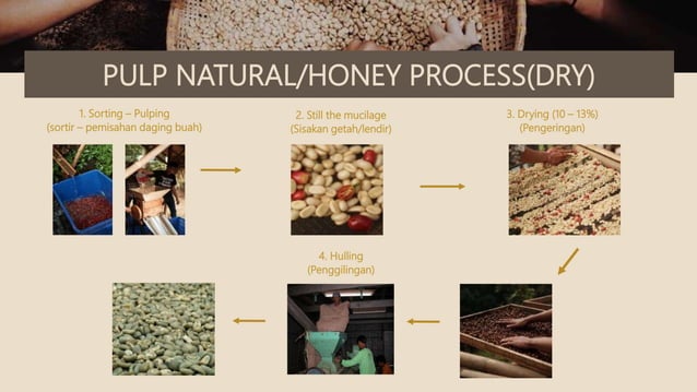 Pengantar Kopi Proses Pencucian Biji Kopi Hingga Grading Test Ppt