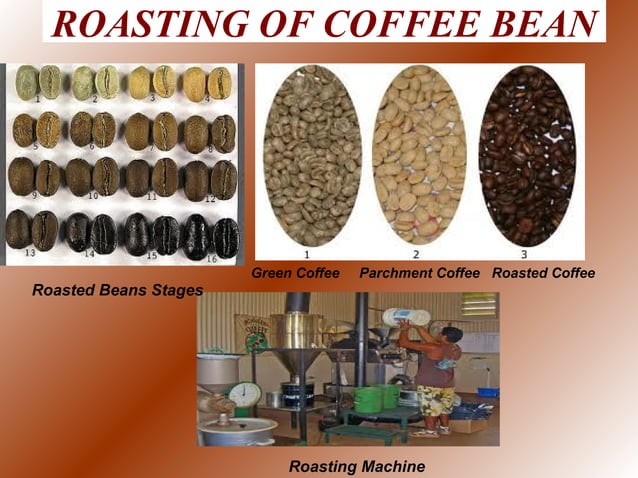 Coffee beans PowerPoint Presentation.ppt | Food & Drink
