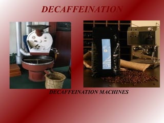 Coffee beans PowerPoint Presentation.ppt