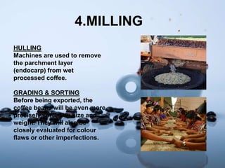 Coffee ppt . | PPTX