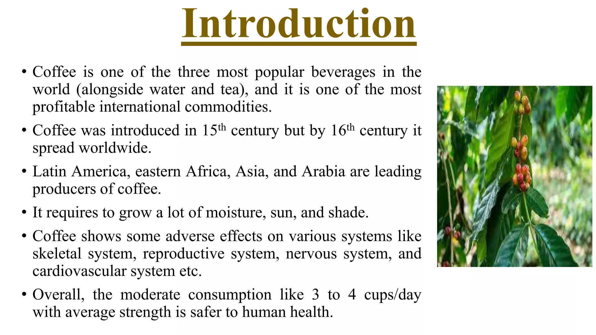COFFEE PRESENTATION.pptx