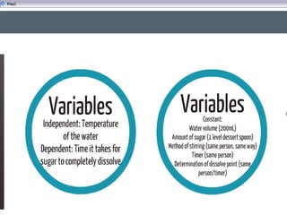 Coffee prezi - Fair Testing Exercise | PPT