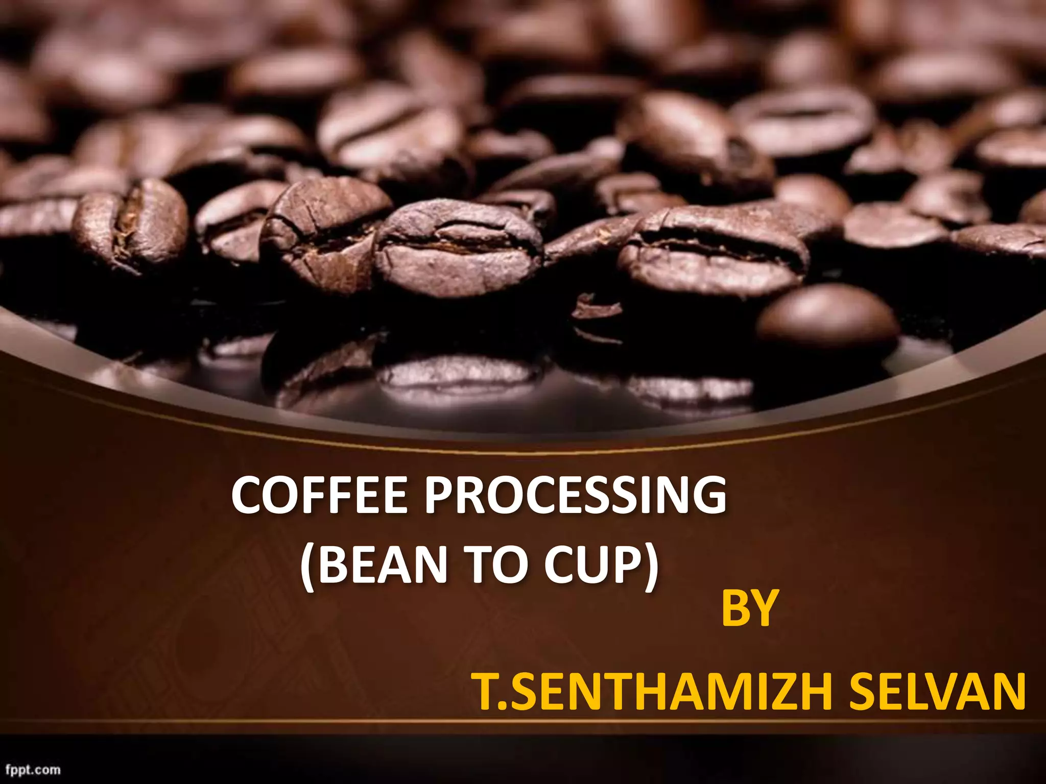 Coffee Processing Technology | PPTX