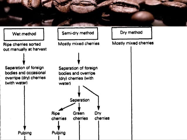 Coffee Processing Technology