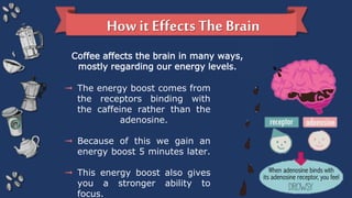 Coffee and Caffeine's Health Effects and Benefits | PPTX