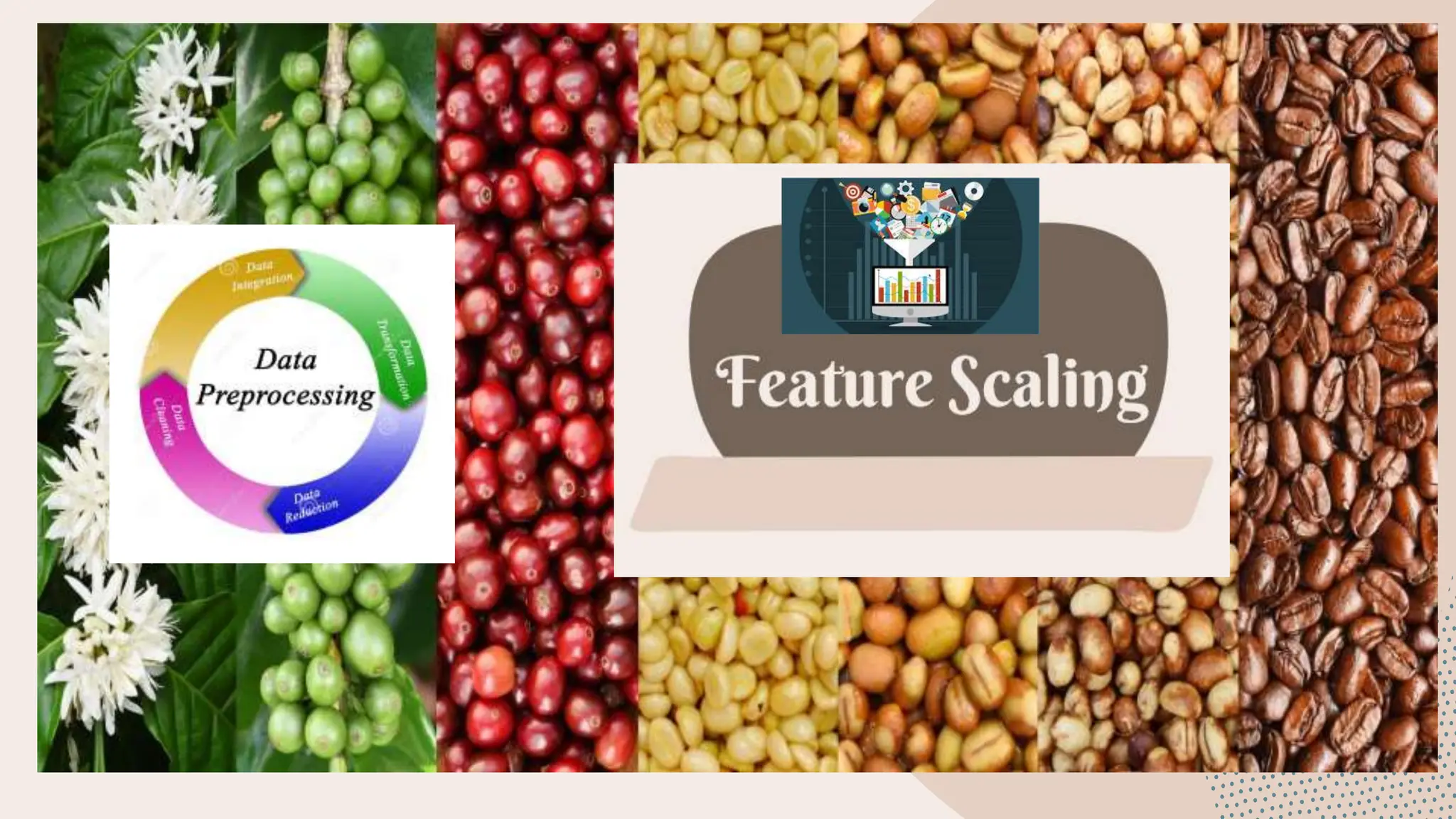 Coffee Quality Analysis Project with PowerBI | PPTX