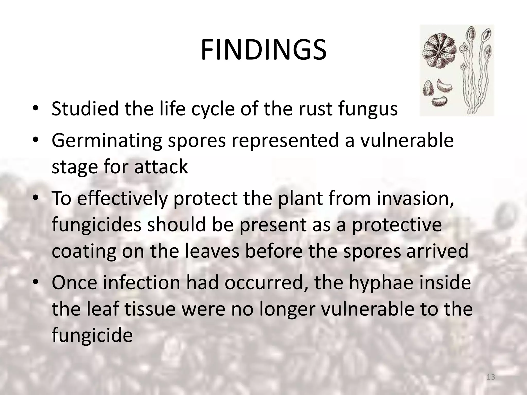 Coffee rust | PPT