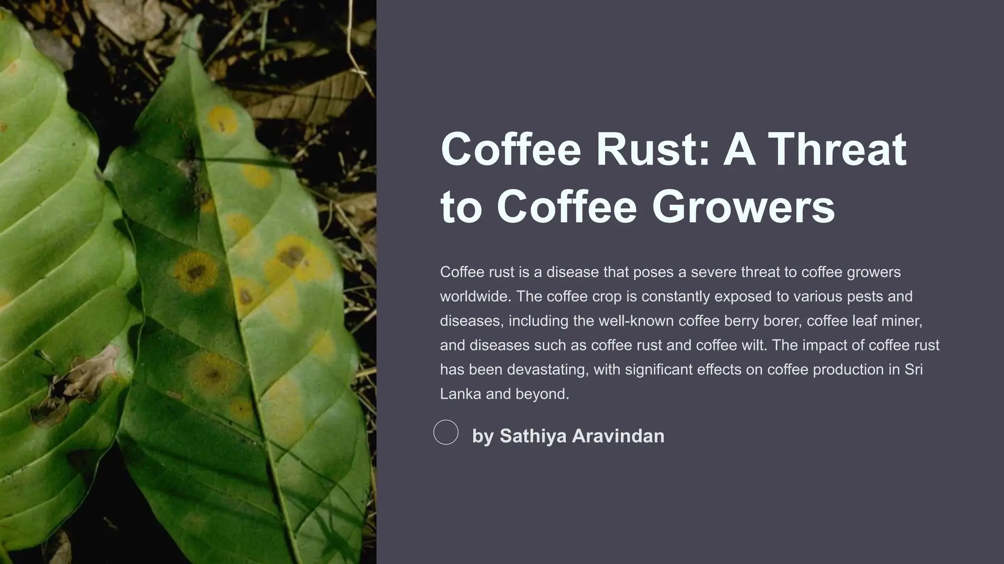coffee rust and its management.pptx