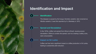 coffee rust and its management.pptx | Gardening | Home & Garden