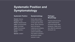 coffee rust and its management.pptx | Gardening | Home & Garden
