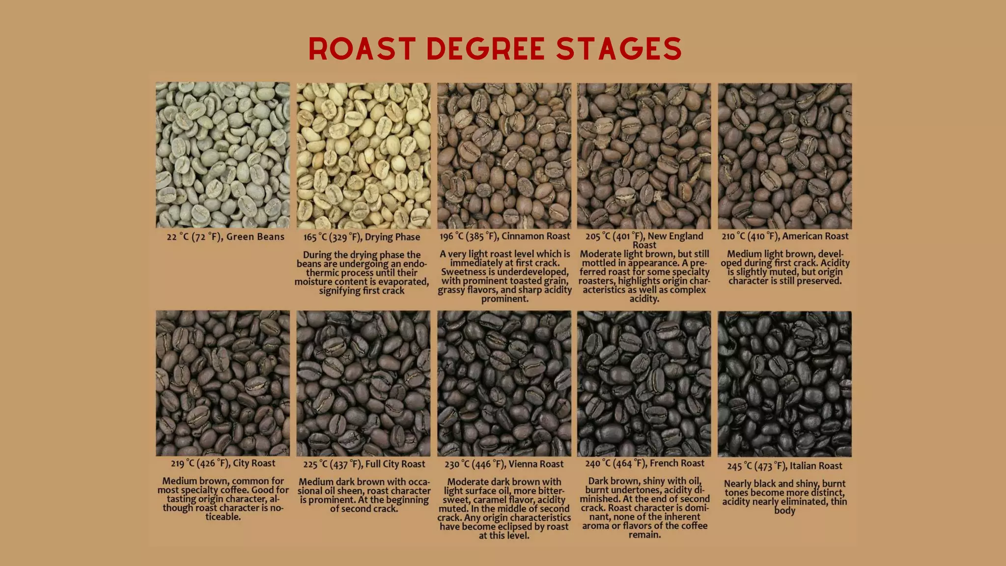 Coffee Sensory Calibration.pptx | Food & Drink