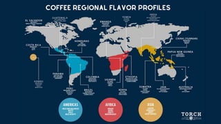 Coffee Sensory Calibration.pptx