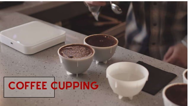 Coffee Sensory Calibration.pptx | Food & Drink