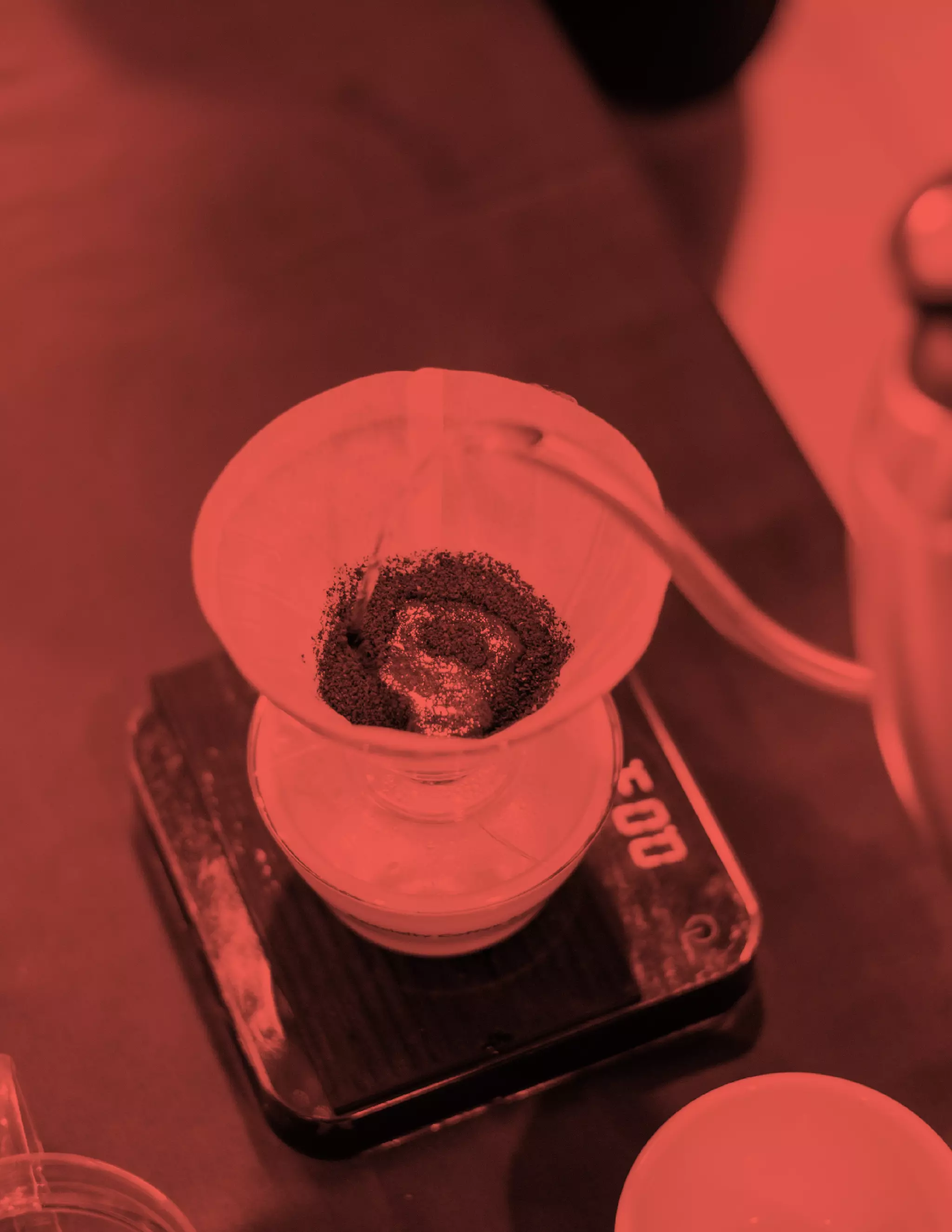 Coffee+standards compressed | PDF