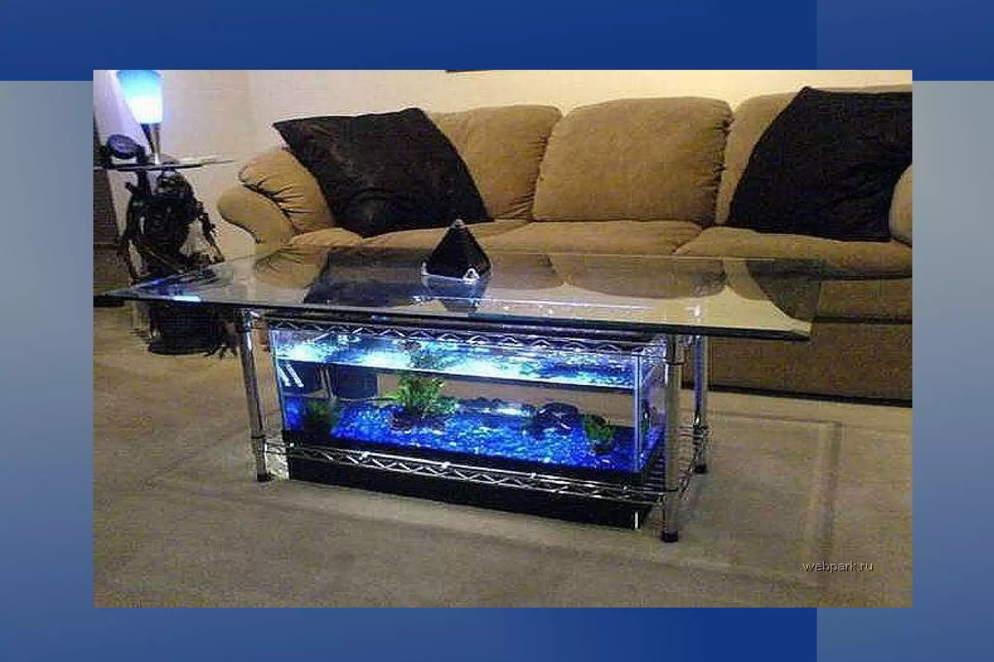 Aquatic Coffee Table Aquariums | PPT | Zoos & Aquariums | Attractions