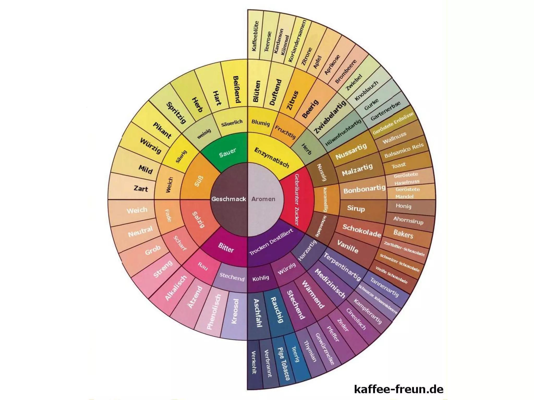 Coffee tasting wheel (German) | PPTX