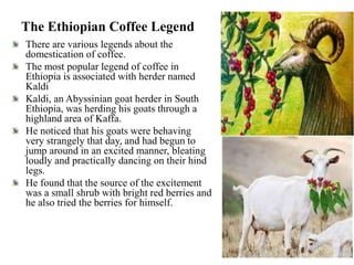 Coffee tourism p pt | PPTX