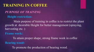 Coffee training | PPTX